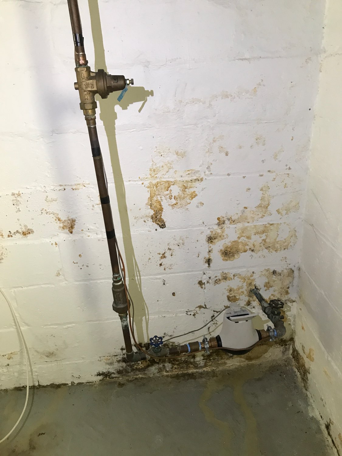 Want to save thousands in leaky basement repairs?